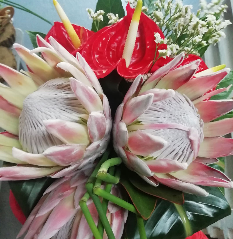Minha Flor - Florista